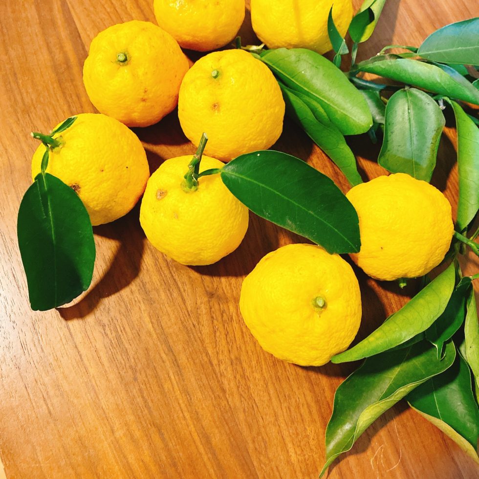 Yuzu and Mikan: Citrus Fruits in Japan - Gochiso History